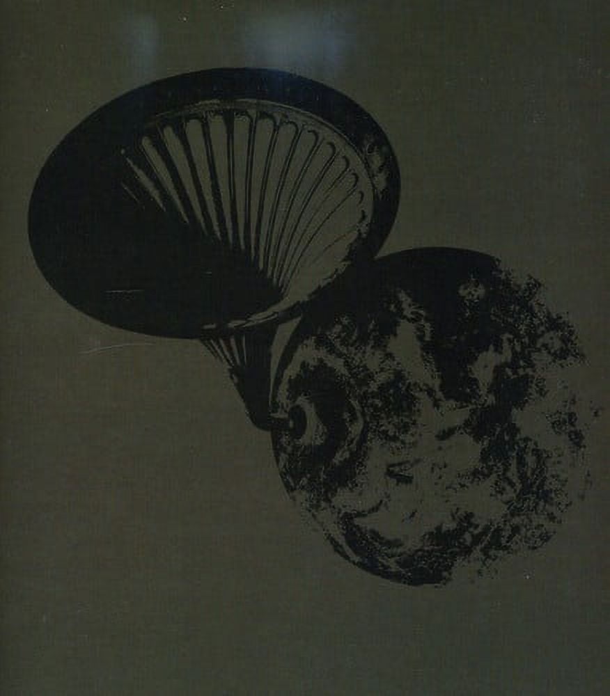 The Receiving End of Sirens - The Earth Sings Mi Fa Mi - Rock - Vinyl ...