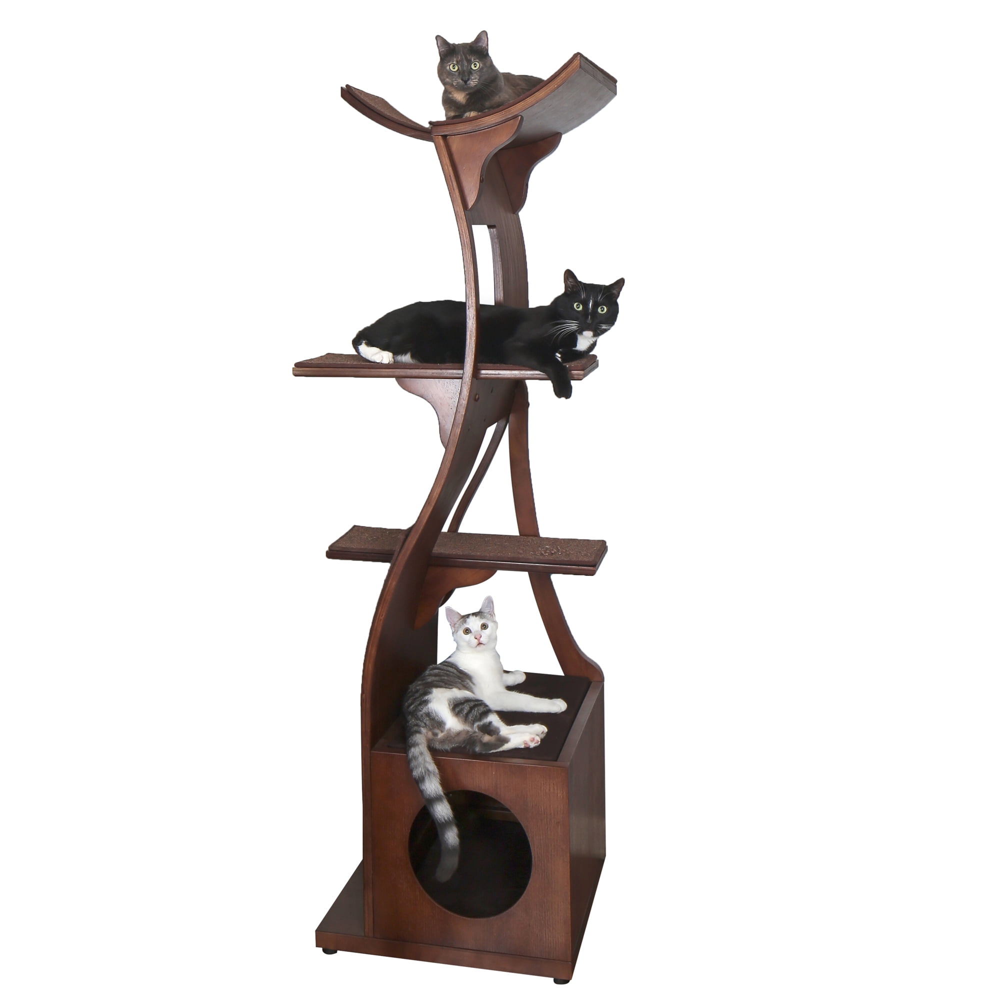 Refined Feline