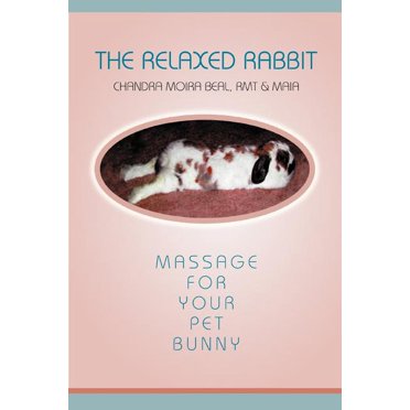 Pet Friendly: Dwarf & Mini Rabbits. (Paperback) - Walmart.com