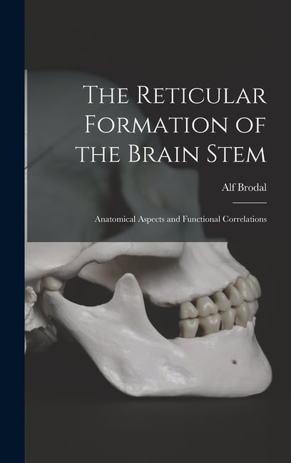 The Reticular Formation of the Brain Stem; Anatomical Aspects and ...
