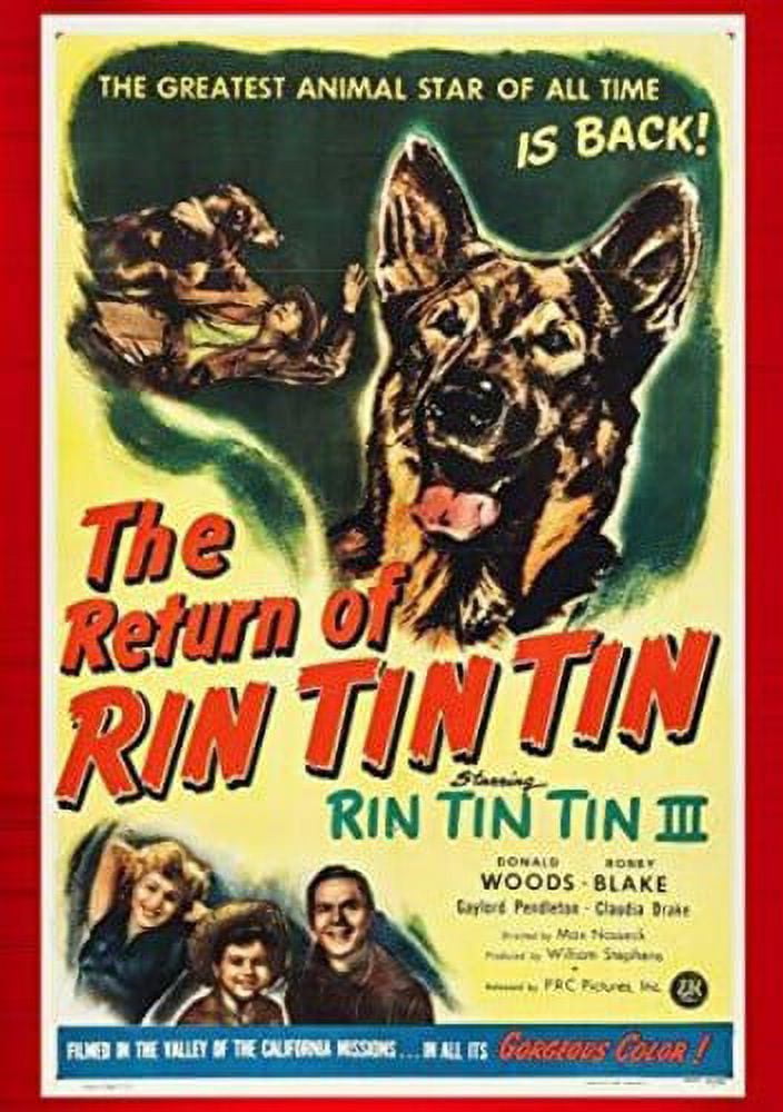 The Return Of Rin Tin Tin (DVD), Reel Media, Western - Walmart.com