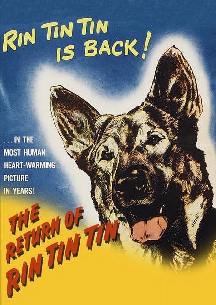The Return of Rin Tin Tin (DVD), Reel Vault, Kids & Family - Walmart.com