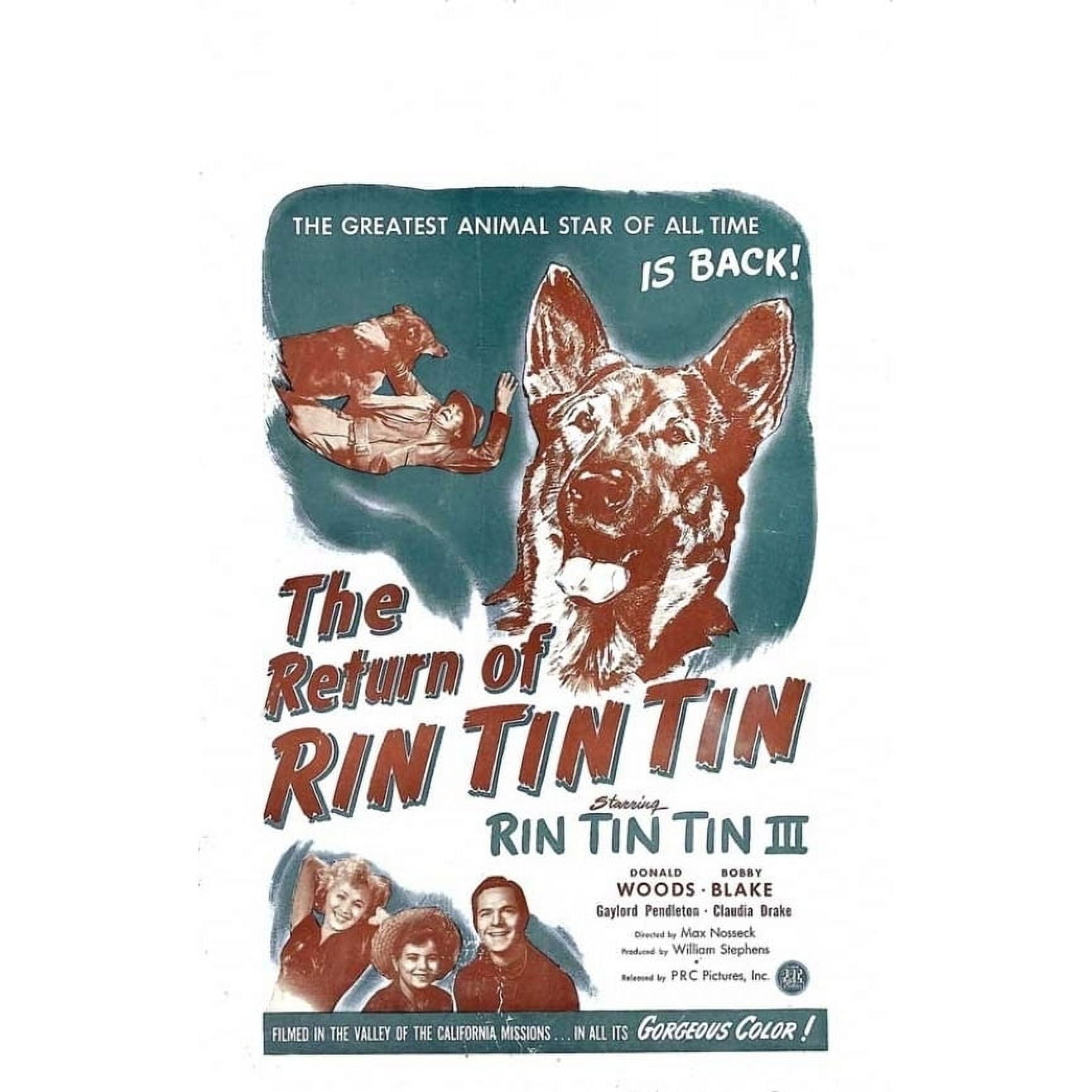 The Return of Rin Tin Tin Movie Poster (11 x 17) - Walmart.com