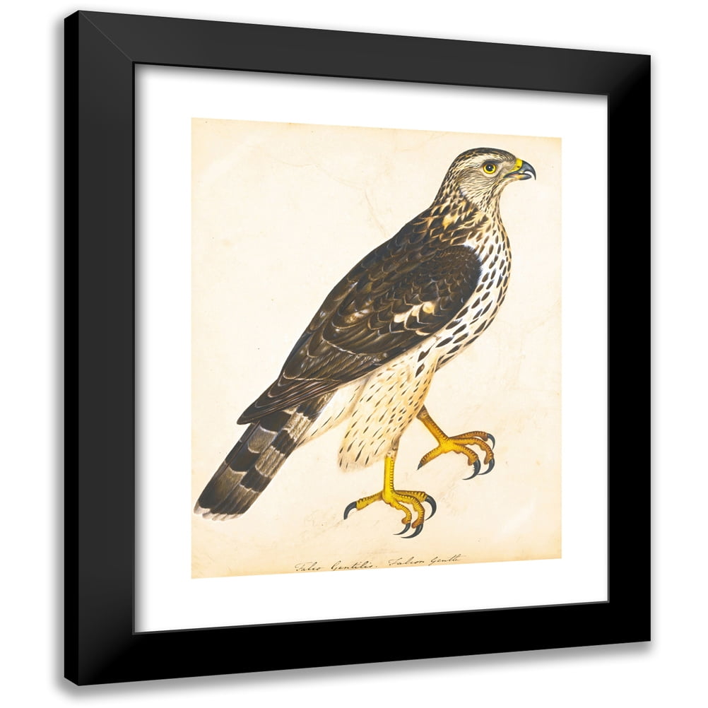 The Reverend Christopher Atkinson 15x18 Black Modern Framed Museum Art ...