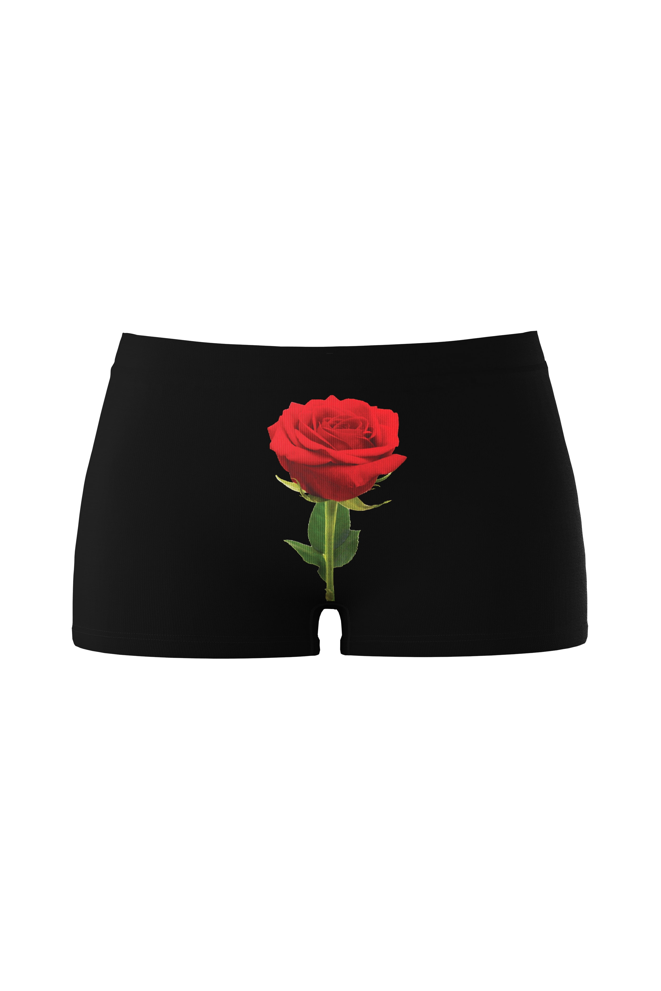 The Right Reasons - Shinesty Rose Modal Boyshort Underwear 2X - Walmart.com