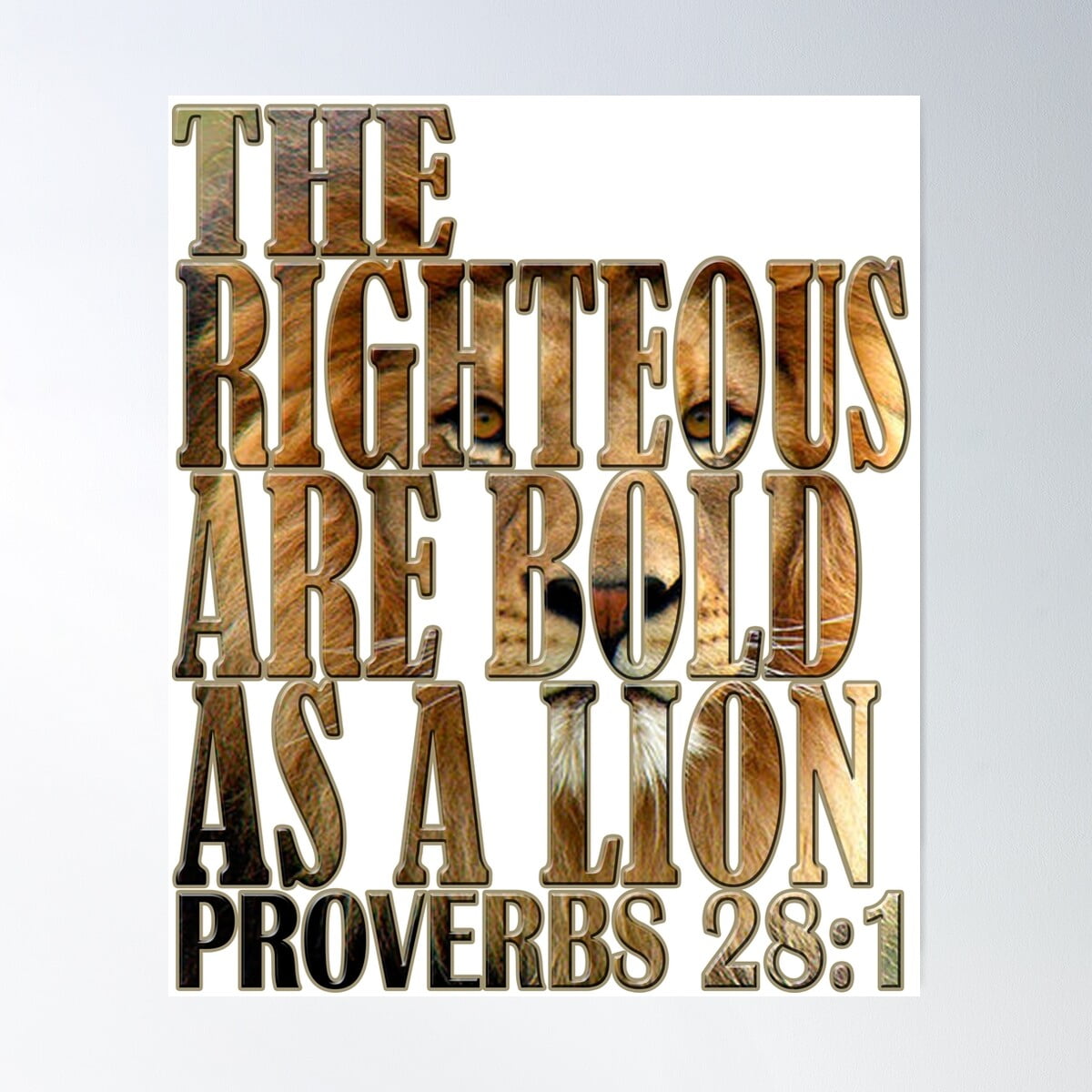 The Righteous Are Bold As A Lion Bible Verse Proverbs 28:1 Poster Wall ...