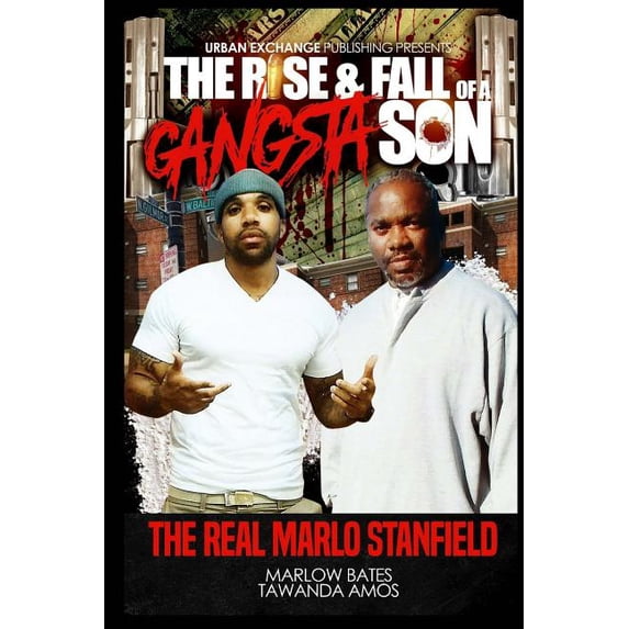 The Rise & Fall of a Gangsta Son (Paperback) - Walmart.com