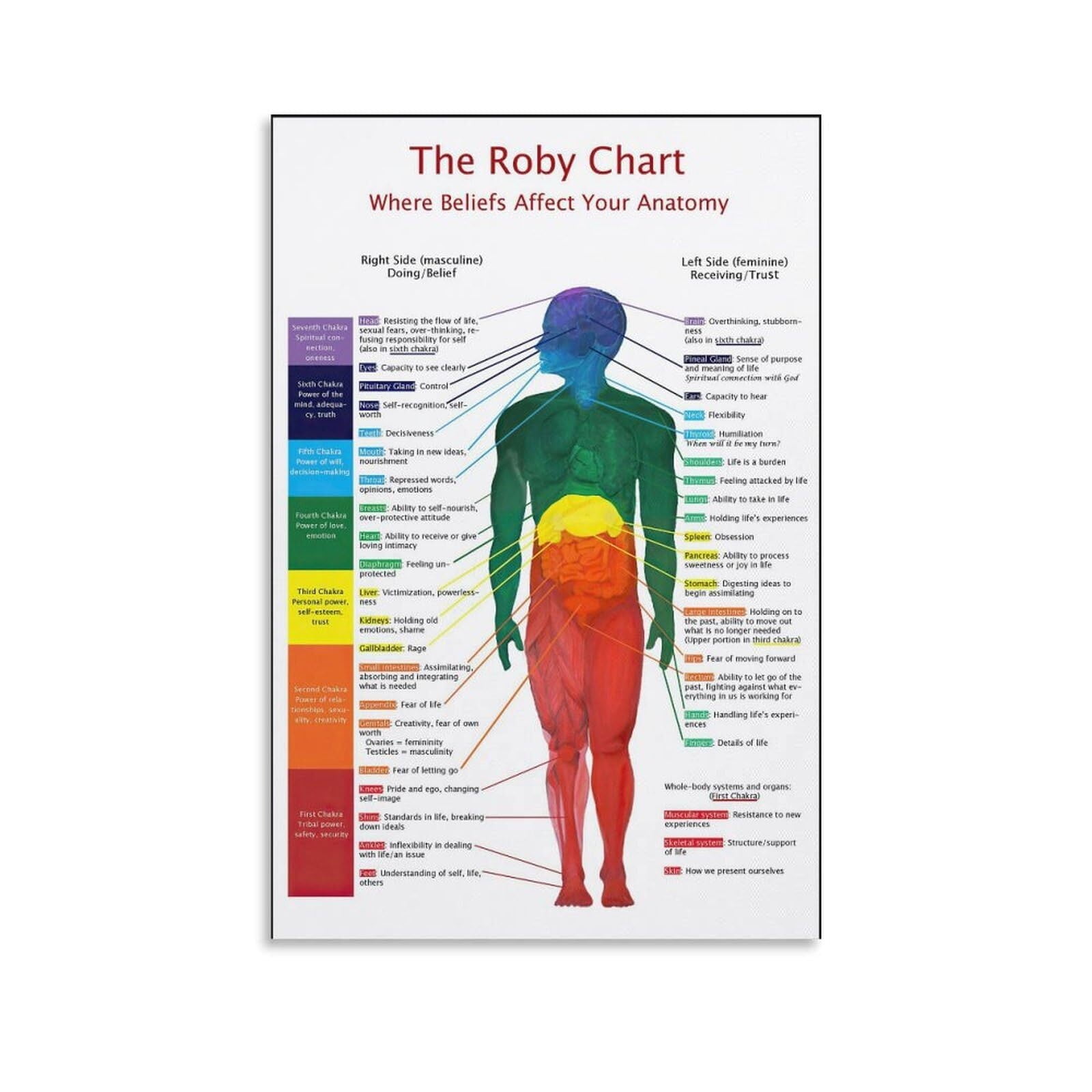The Roby Chart Poster Chakra Poster Human Body Anatomy Canvas Art ...