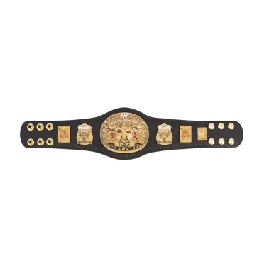 WWE World Heavyweight Wrestling Championship Title Belt - Walmart.com