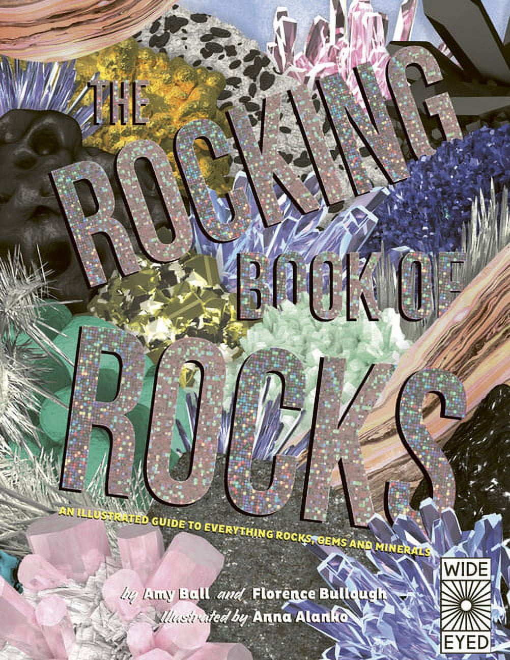 The Rocking Book of Rocks : An Illustrated Guide to Everything Rocks ...
