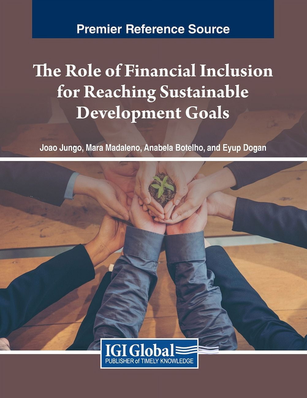The Role of Financial Inclusion for Reaching Sustainable Development ...