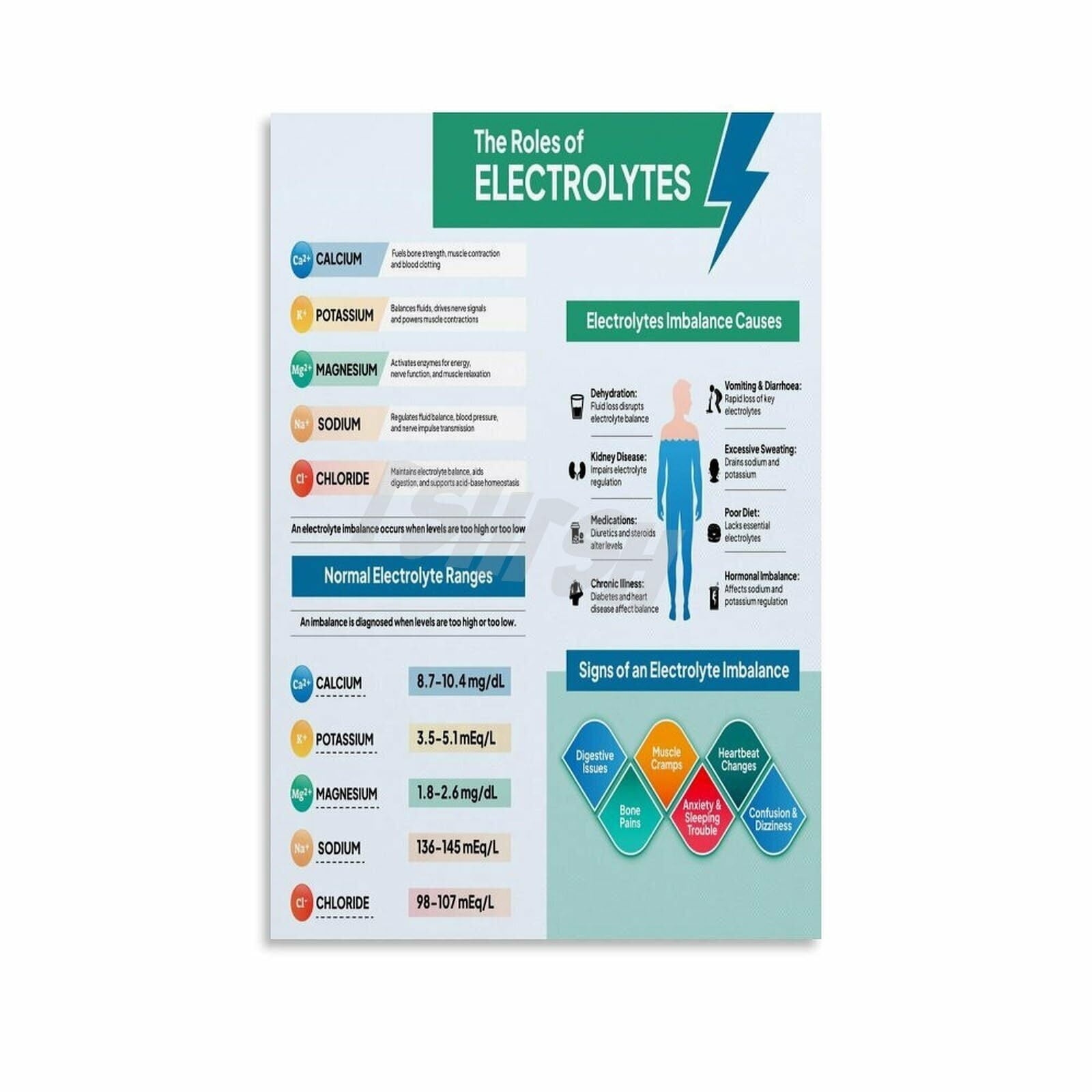 The Roles Of Electrolytes Poster Science Classroom Decor Canvas ...