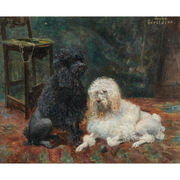 Jocko Willink Poster