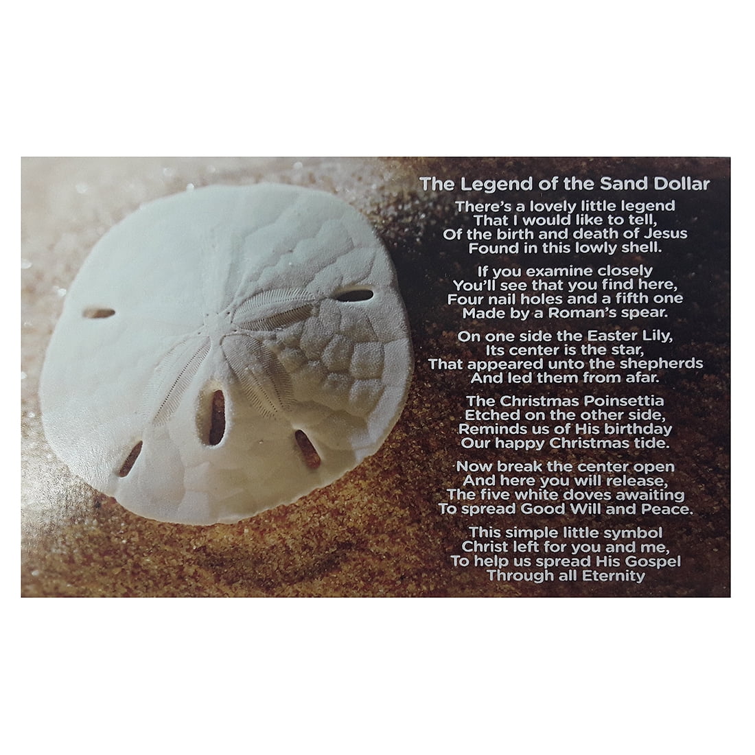 The Seashell Legend of the Sand Dollars Postcards, Multicolor, 18 Count ...