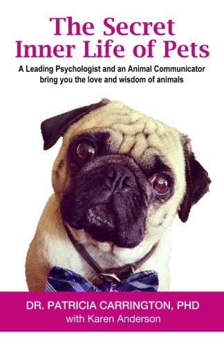 Pet Communicator