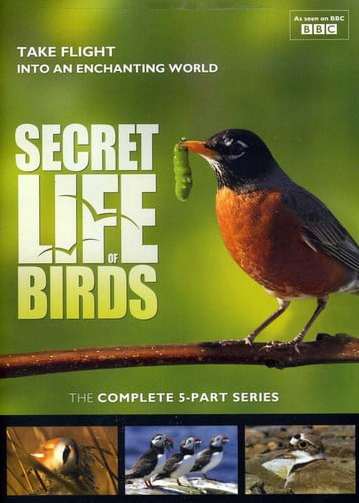 The Secret Life of Birds (DVD) - Walmart.com