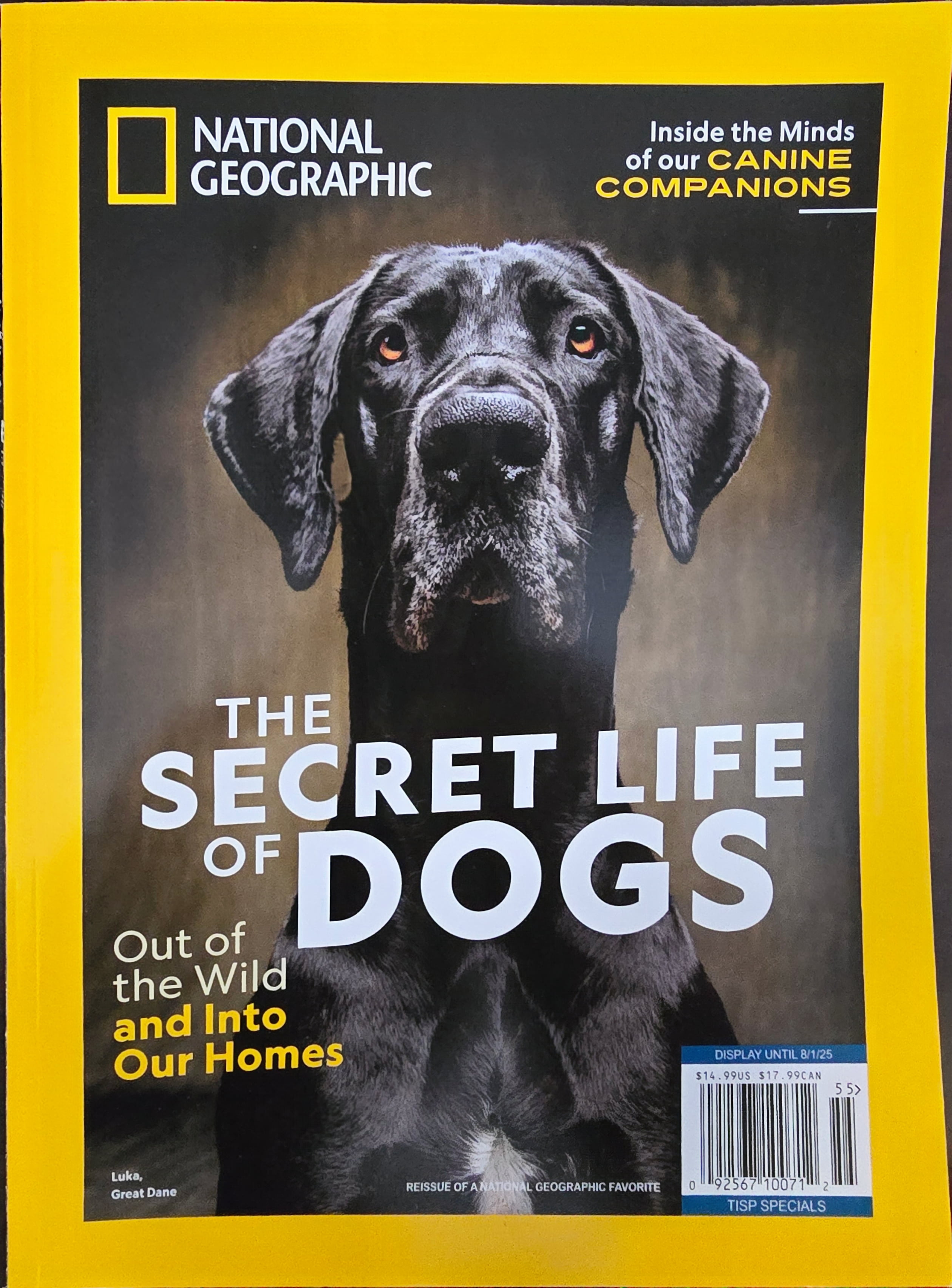 The Secret Life of Dogs Magazine - NatGeo - Walmart.com