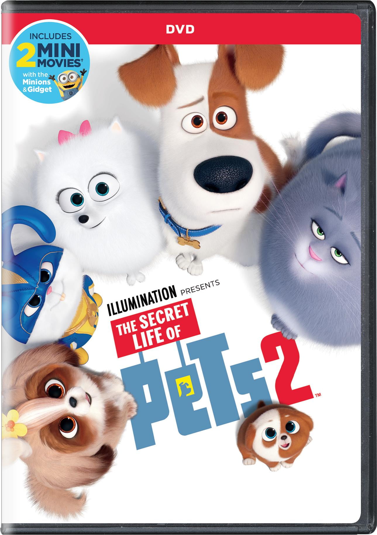 Walmart's The Secret Life of Pets 2: Superhero Cat Movie (DVD ...