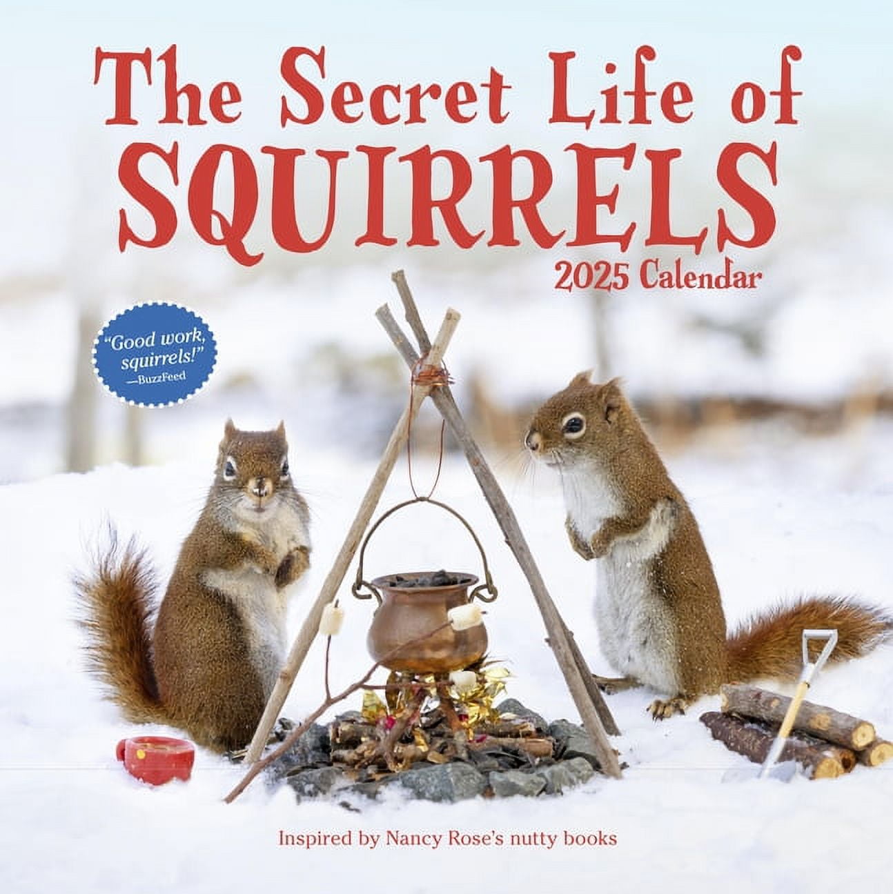 The Secret Life of Squirrels Wall Calendar 2025, (Paperback) - Walmart.com
