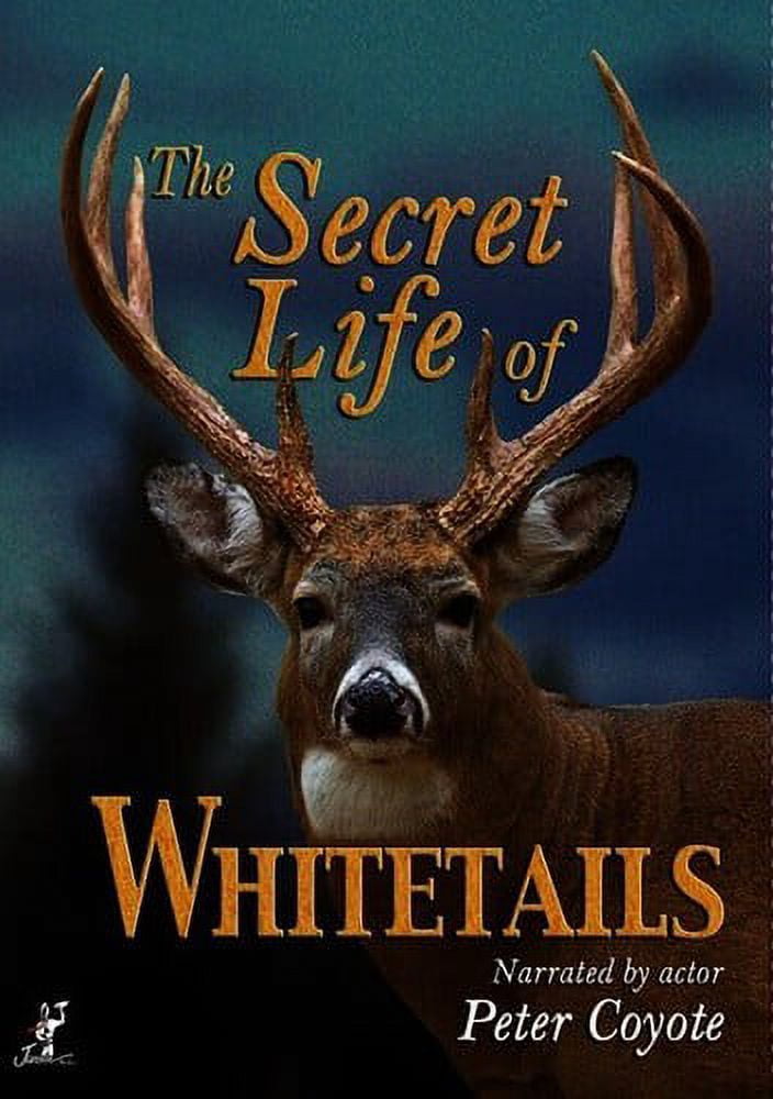 The Secret Life of Whitetails (DVD), Janson Media, Special Interests ...