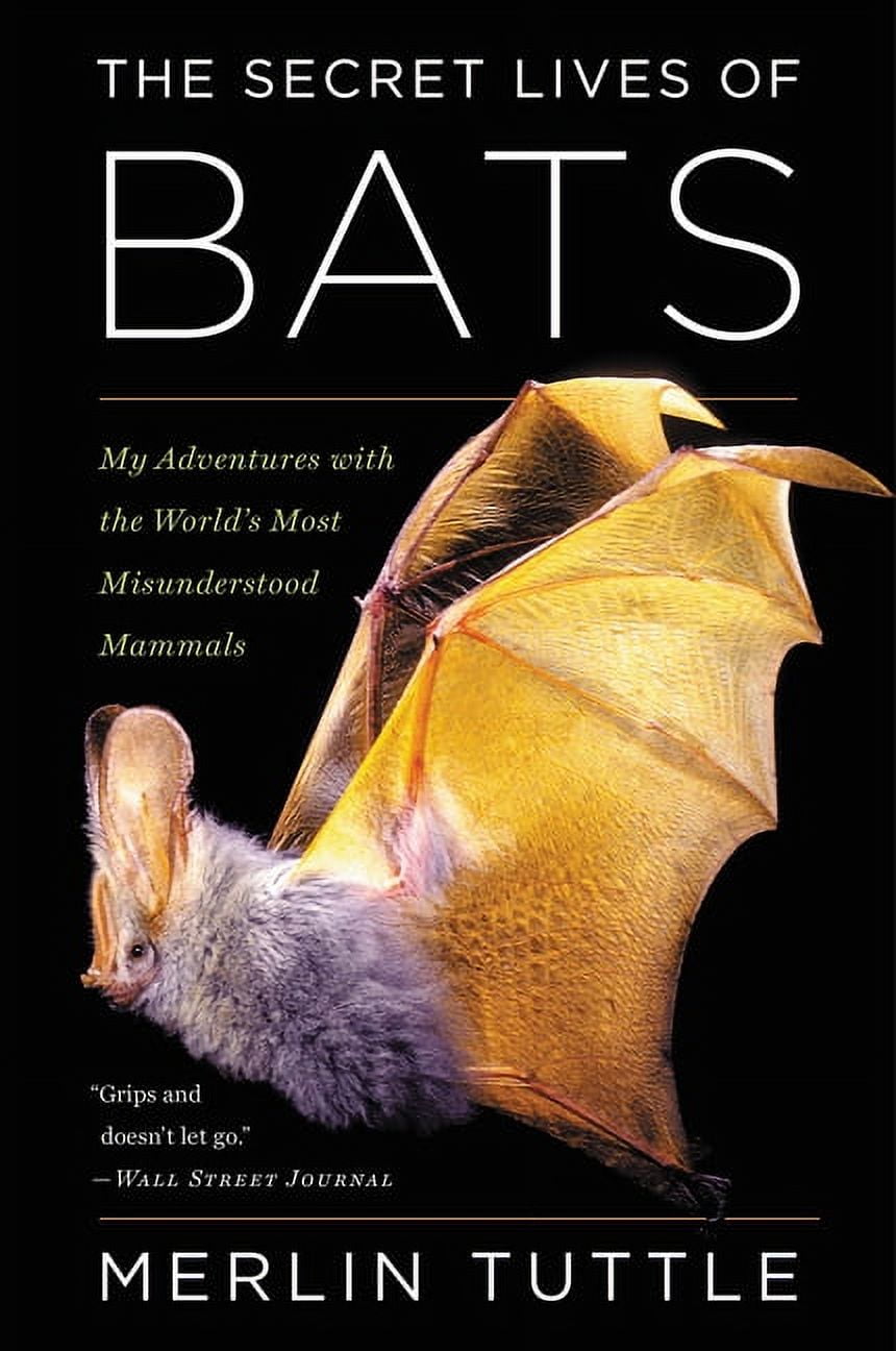 The Secret Lives of Bats: My Adventures with the World's Most ...