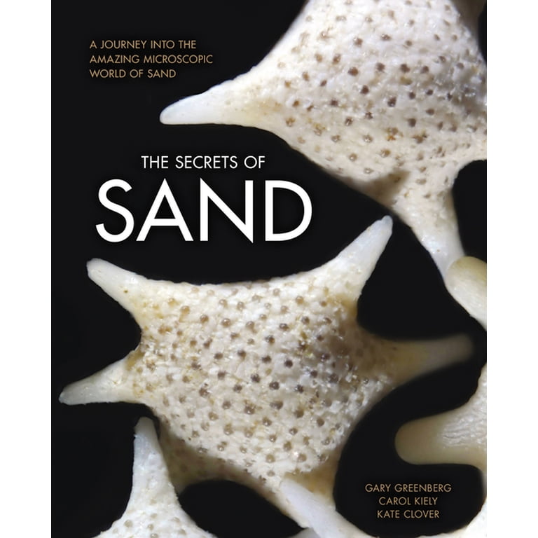 Sand Under Electron Microscope