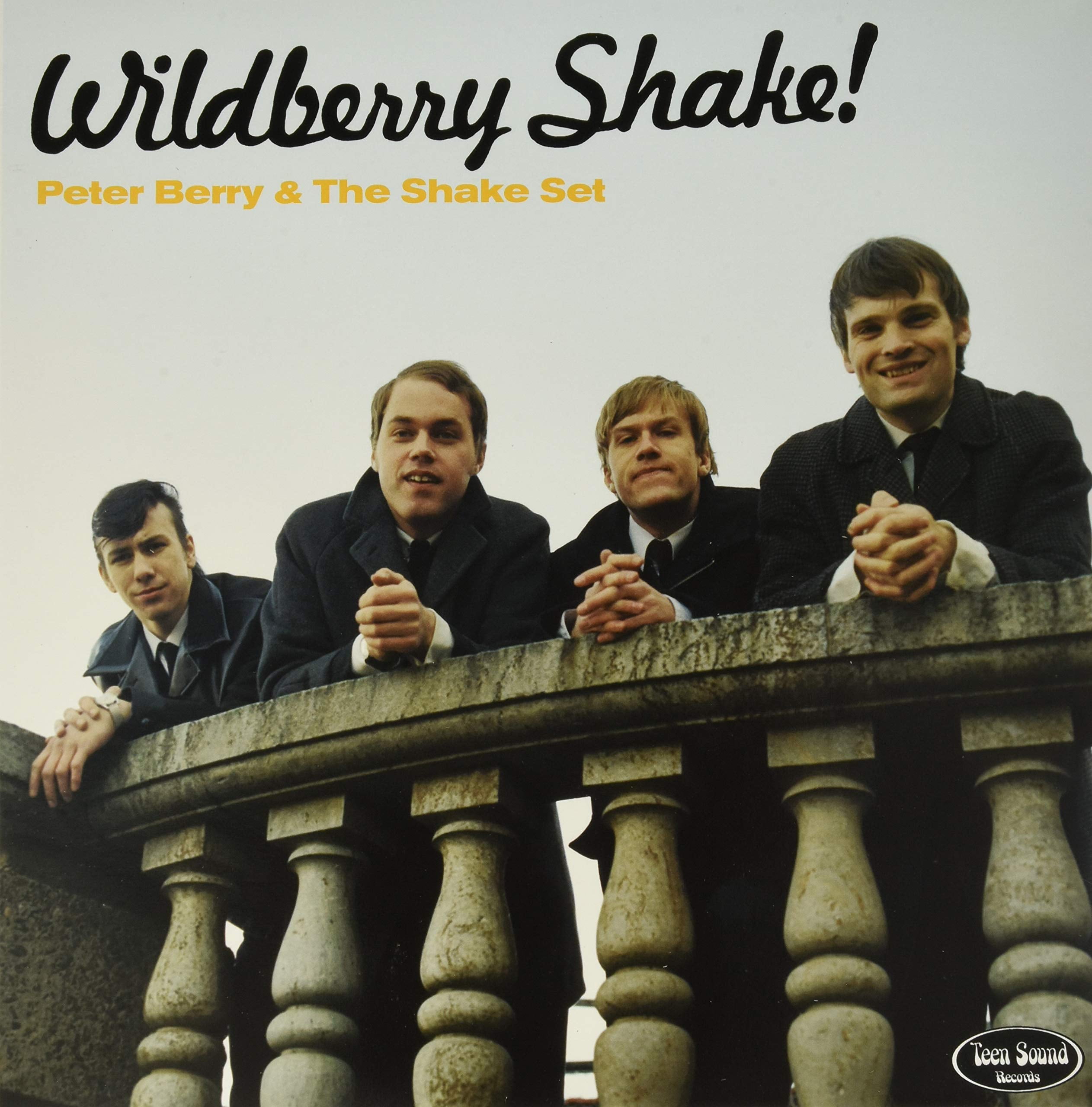 The Shake Set- Wildberry Shake! (Vinyl Record) - Walmart.com