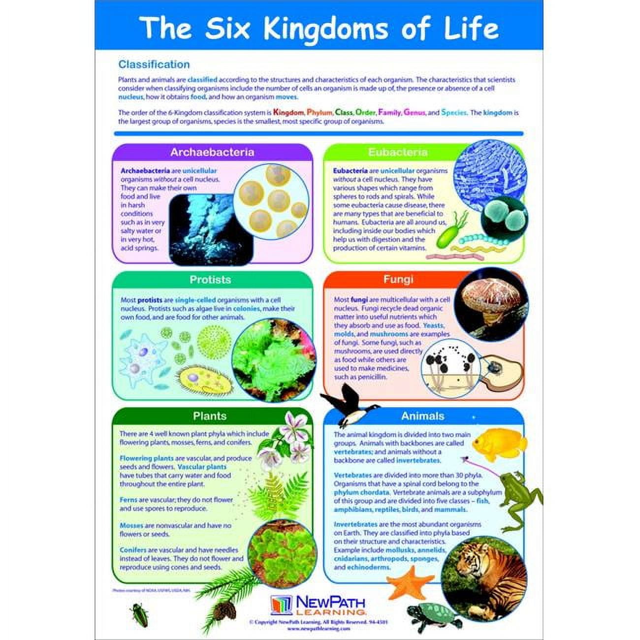 NewPath Learning Six Kingdoms of Life Laminated Learning Poster, 23 X ...