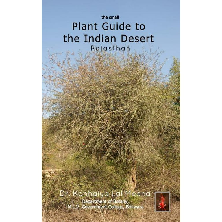 Indian Desert Plants