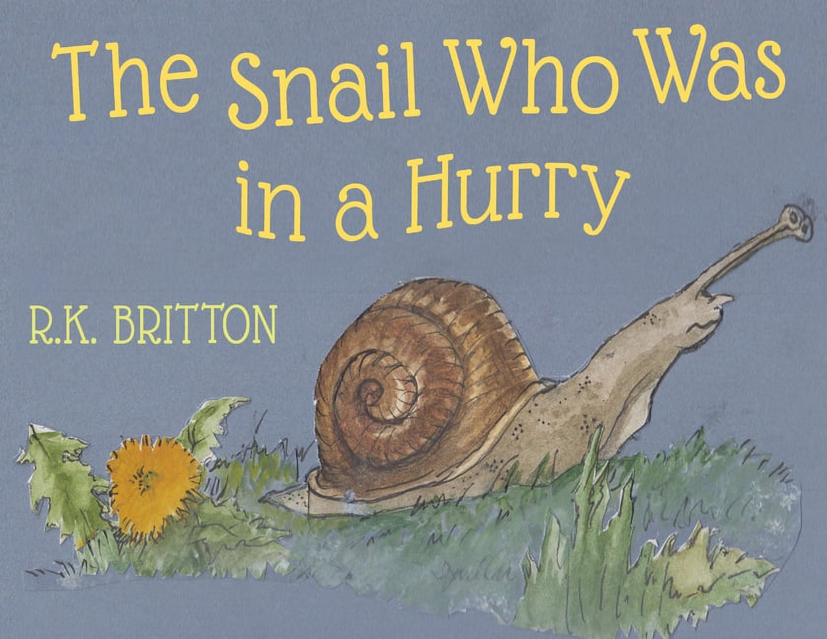 The Snail Who Was in a Hurry (Paperback) - Walmart.com