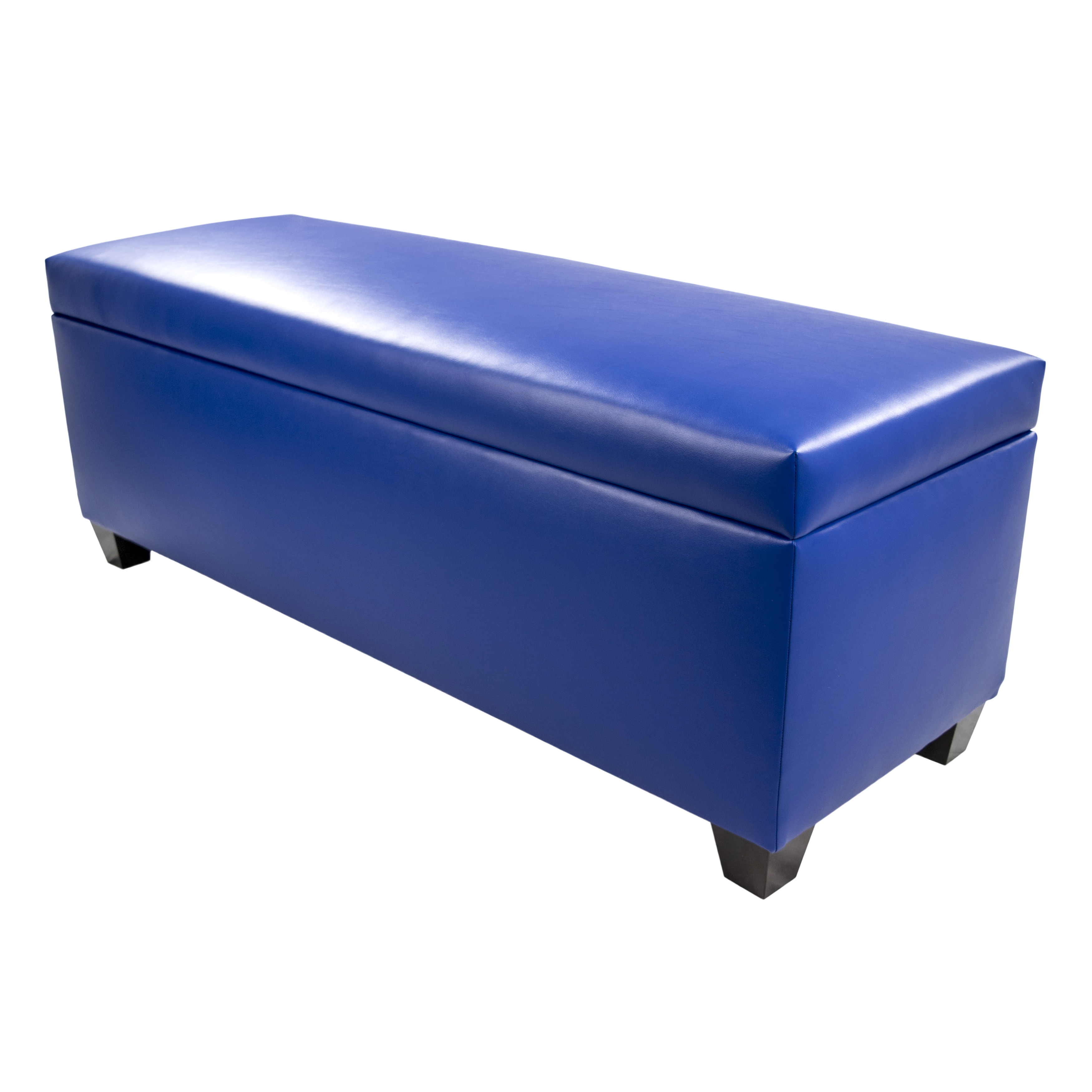 The Sole Secret Blue Vinyl Retro Shoe Storage Bench/Ottoman Blue ...