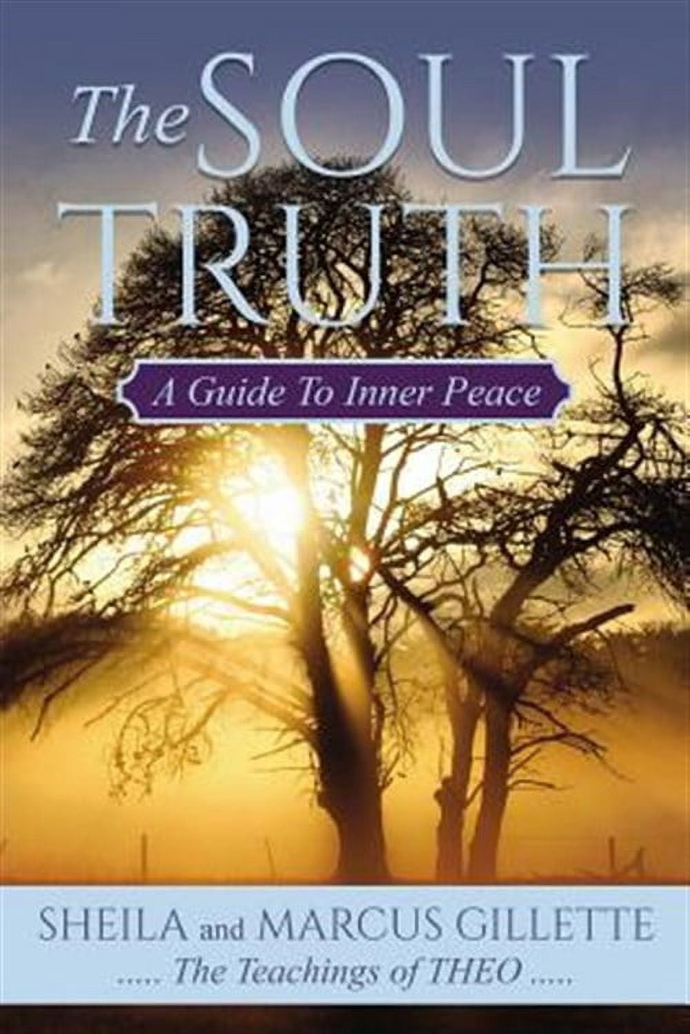 The Soul Truth (Paperback) - Walmart Business Supplies