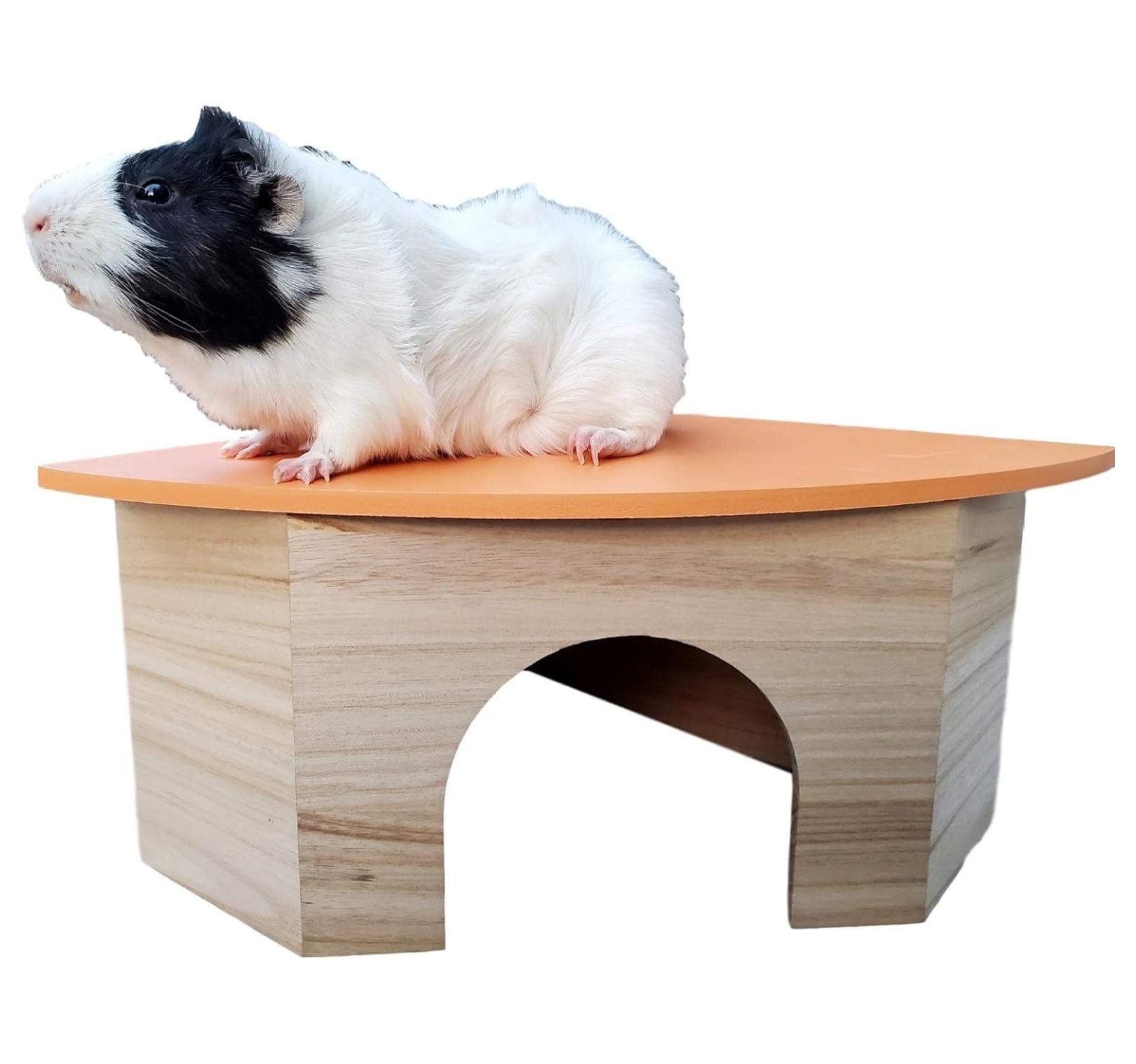 The Space House All Natural Sturdy Pine Wood Corner Hideout Hidey Guinea Pig Hut () - Walmart.com