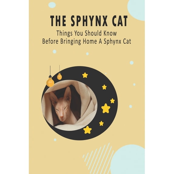 The Sphynx Cat_ Things You Should Know Before Bringing Home A Sphynx ...