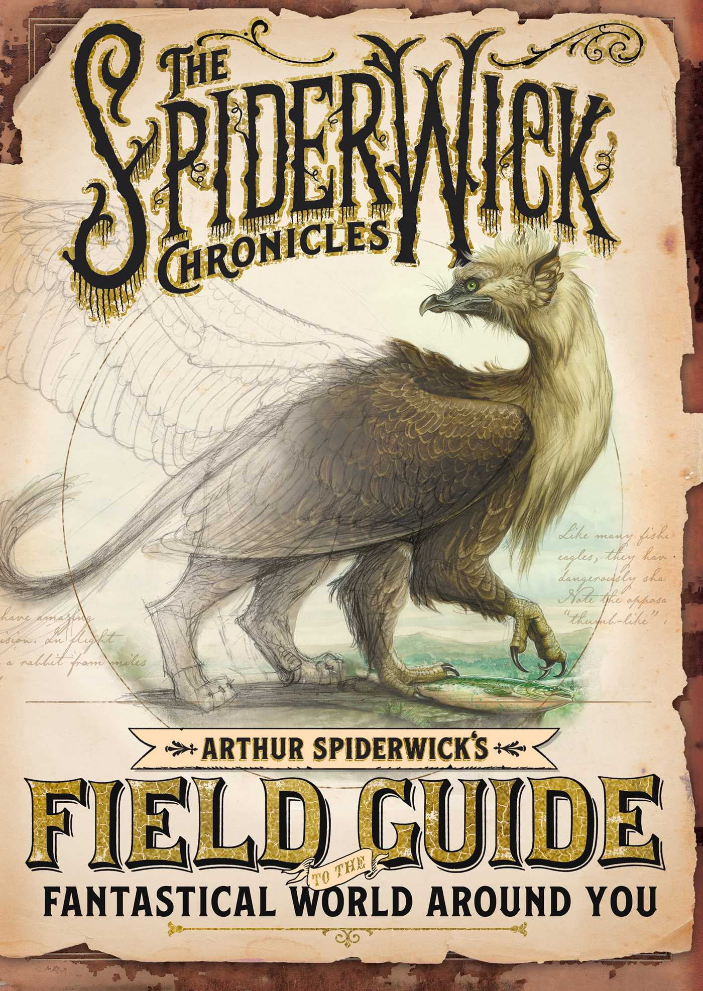 The Spiderwick Chronicles: Arthur Spiderwick's Field Guide to the ...