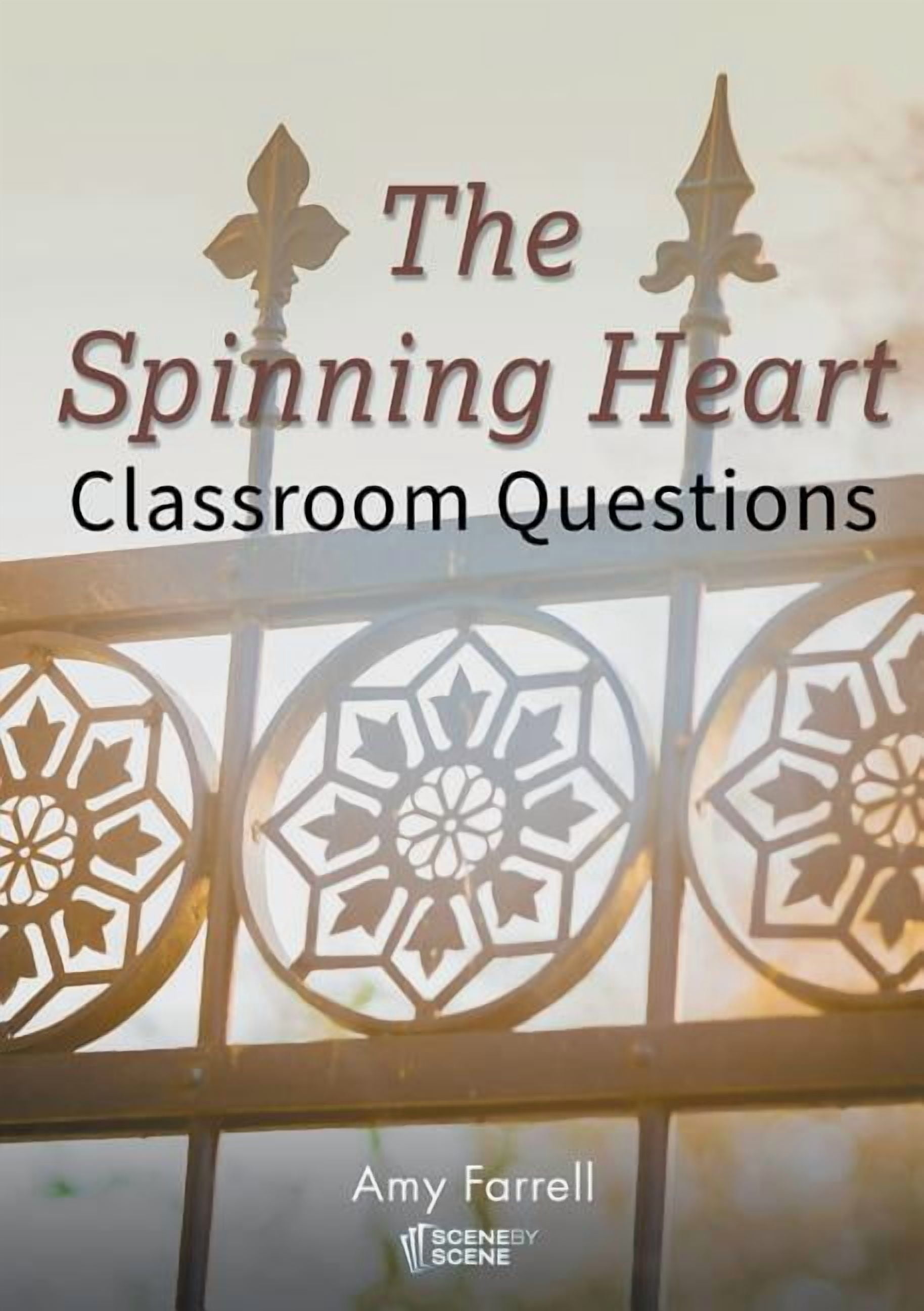 The Spinning Heart Classroom Questions (Paperback) - Walmart.com