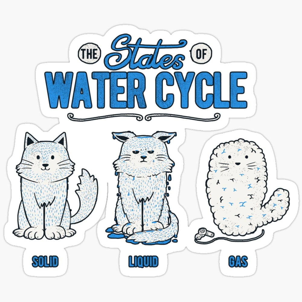 The States Of The Water Cycle Sticker Phone Decal Water Bottle Stickers ...