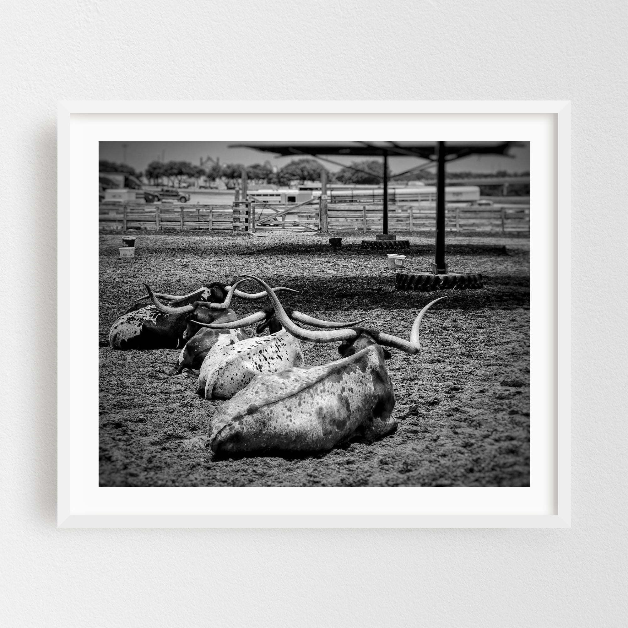 The Stockyard - Fort Worth Texas Photography Black and White Rustic ...