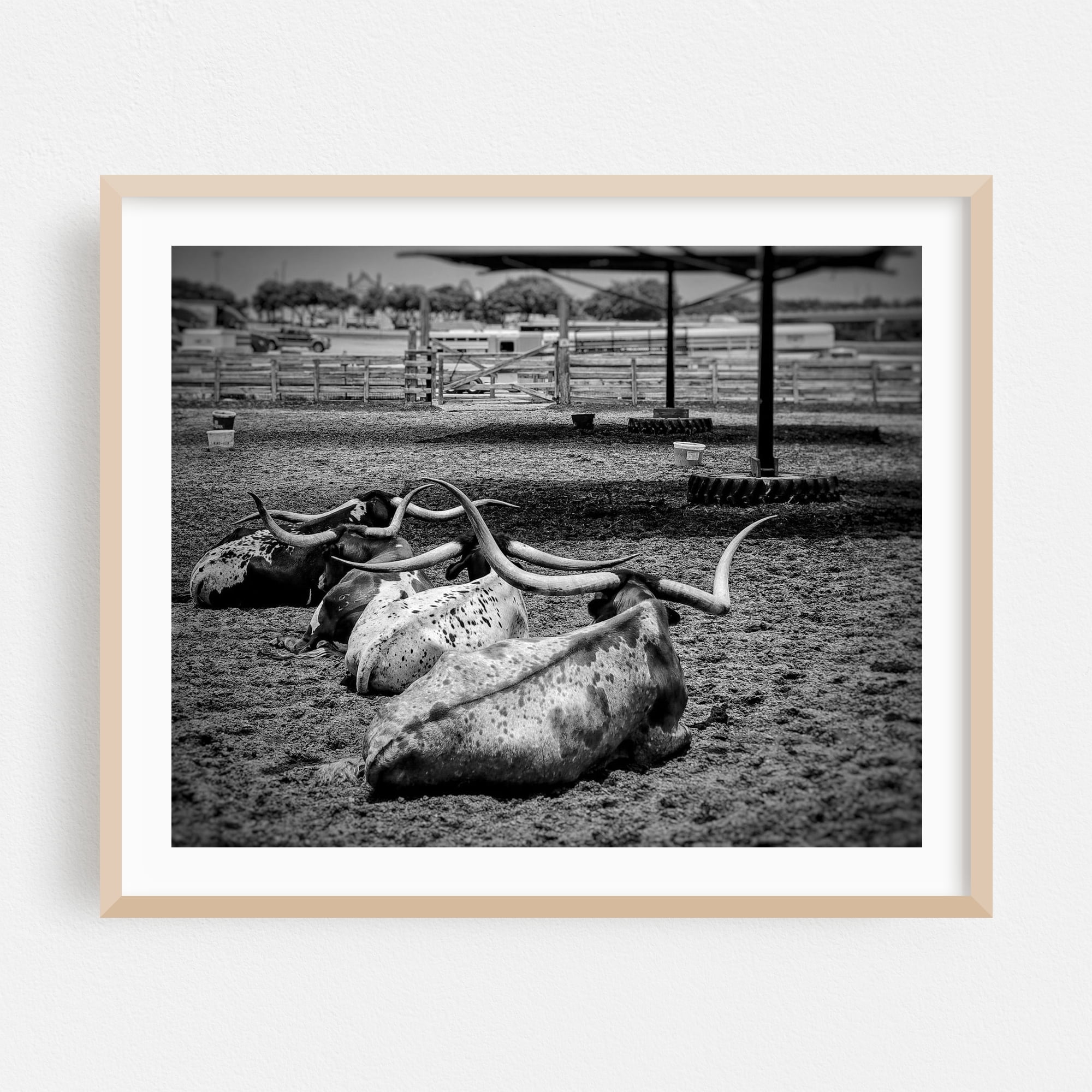 The Stockyard - Fort Worth Texas Photography Black and White Rustic ...