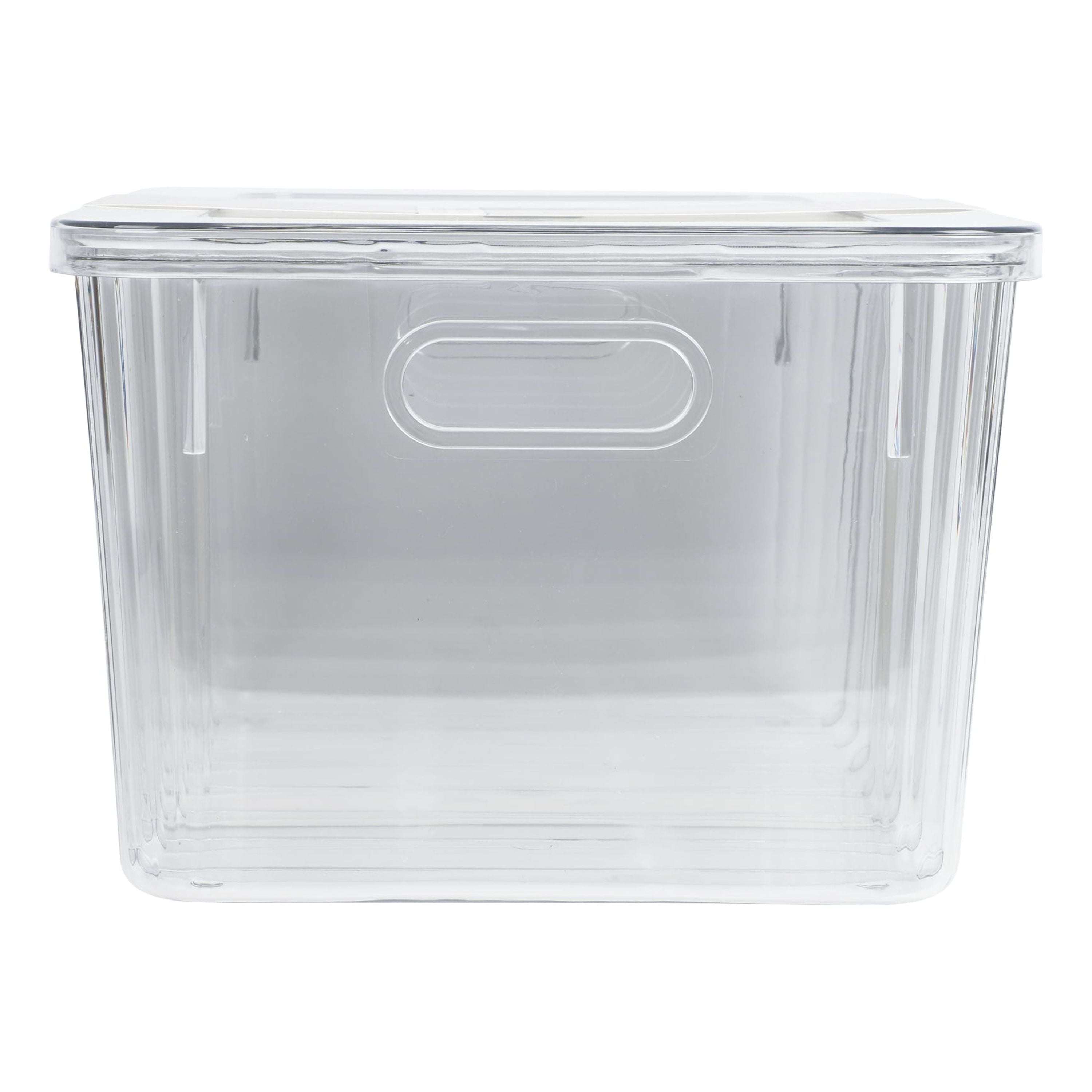 Storage Editions Large Clear Storage Box with Dividers - Walmart.com