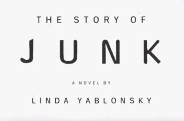 Pre-Owned The Story of Junk: A Novel (Hardcover) 0374270244 ...