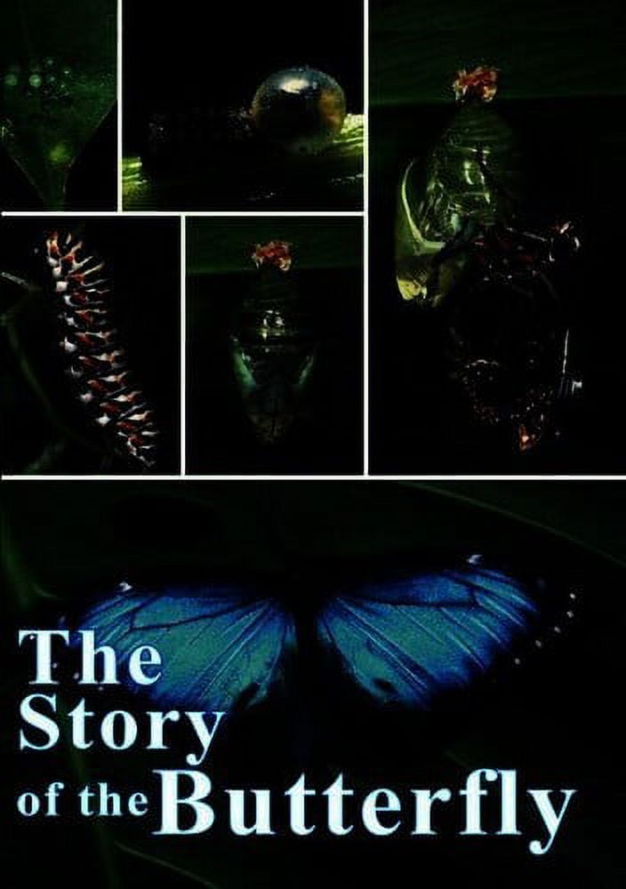 The Story of the Butterfly (DVD), Janson Media, Special Interests ...