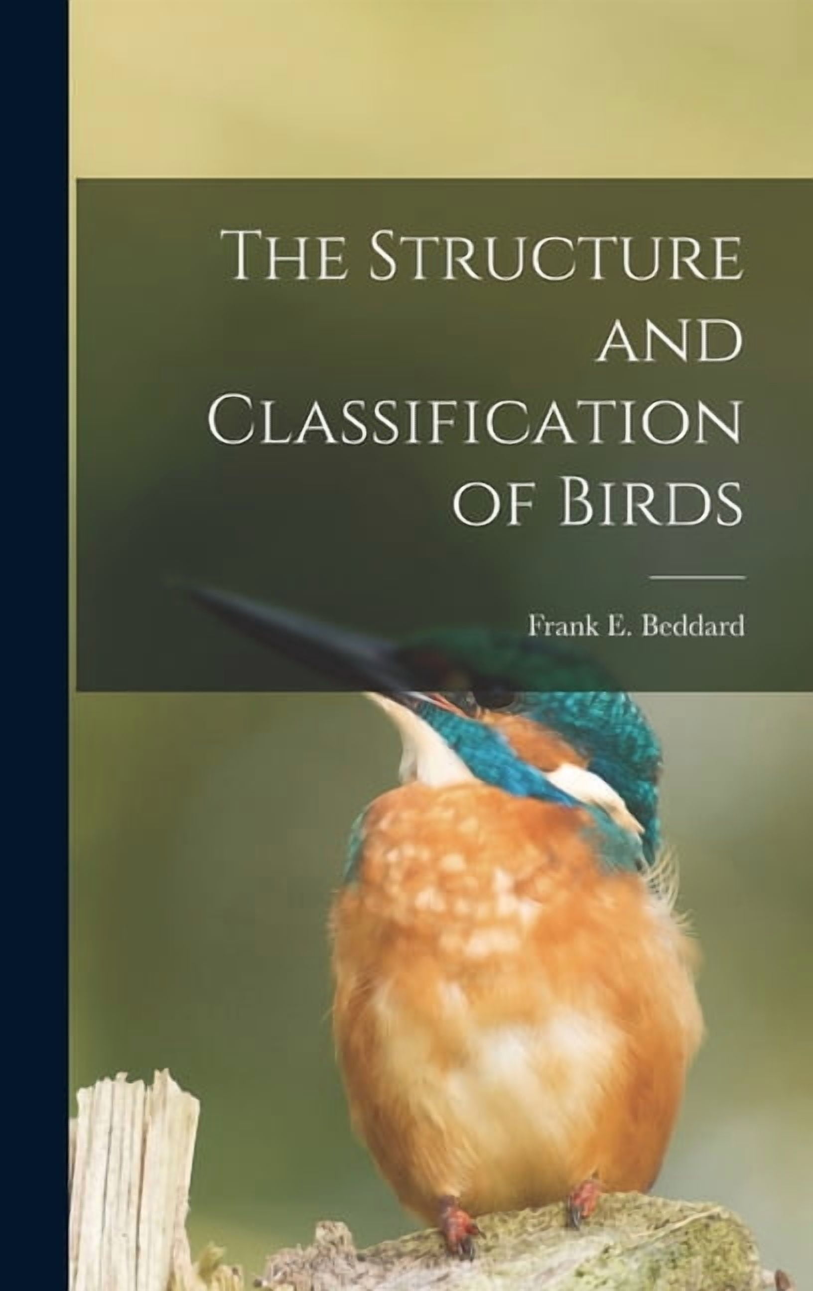 The Structure and Classification of Birds, (Hardcover) - Walmart.com