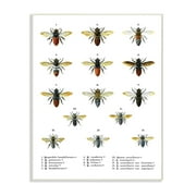 Vintage Scientific Illustrations