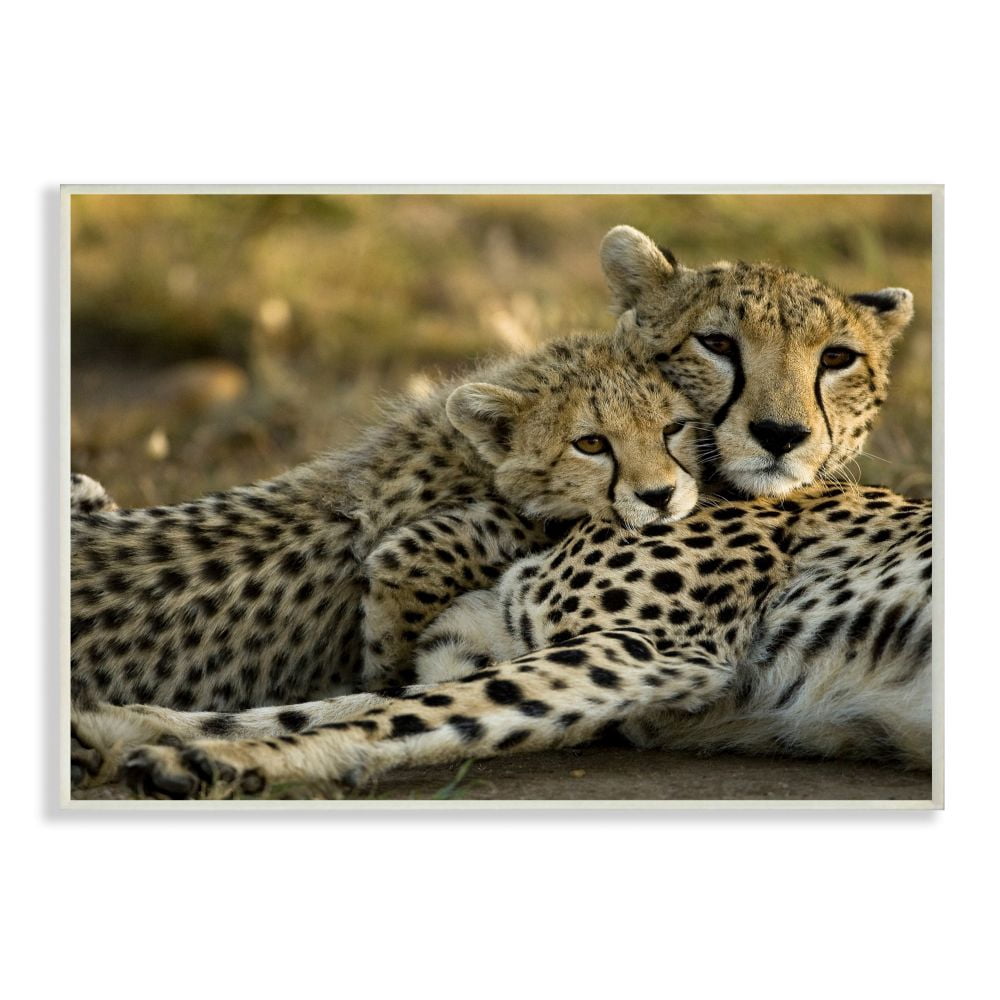 The Stupell Home Decor Collection Cheetah Family Mother with Cub Wood ...