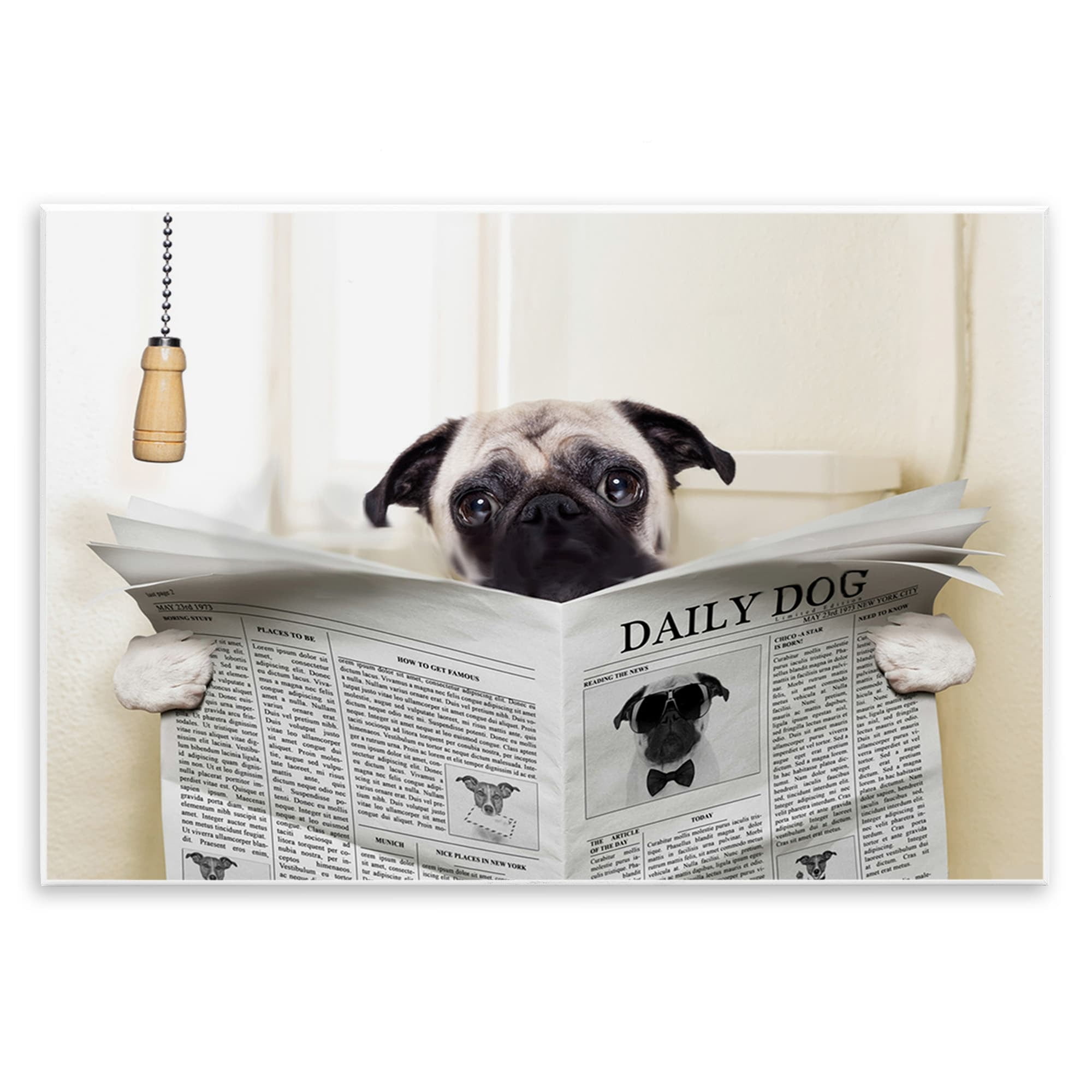 The Stupell Home Decor Collection Pug Reading Newspaper in Bathroom ...