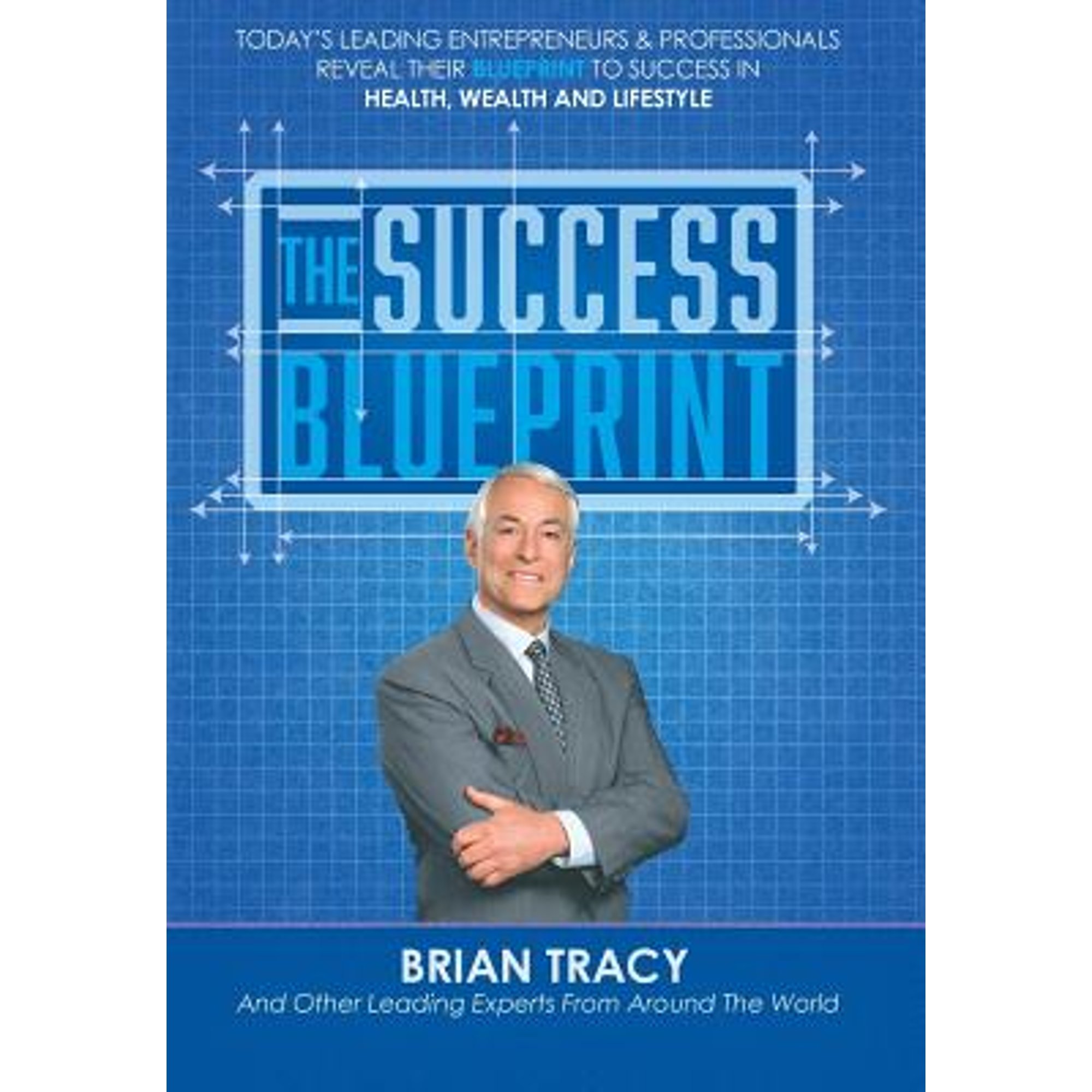 Pre-Owned The Success Blueprint (Hardcover) 0997536667 9780997536669 ...
