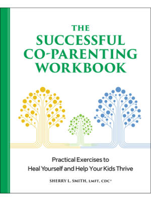 The Successful Co-Parenting Workbook : Practical Exercises to Heal ...