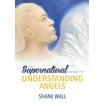 Everyday Angels : How to Encounter, Experience, and Engage Angels in ...
