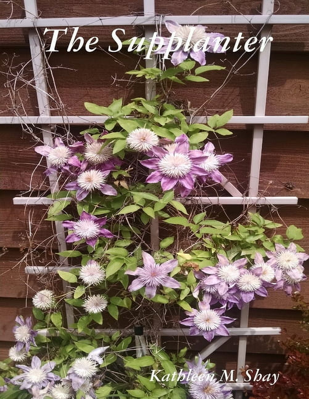 The Supplanter, (Paperback) - Walmart.com